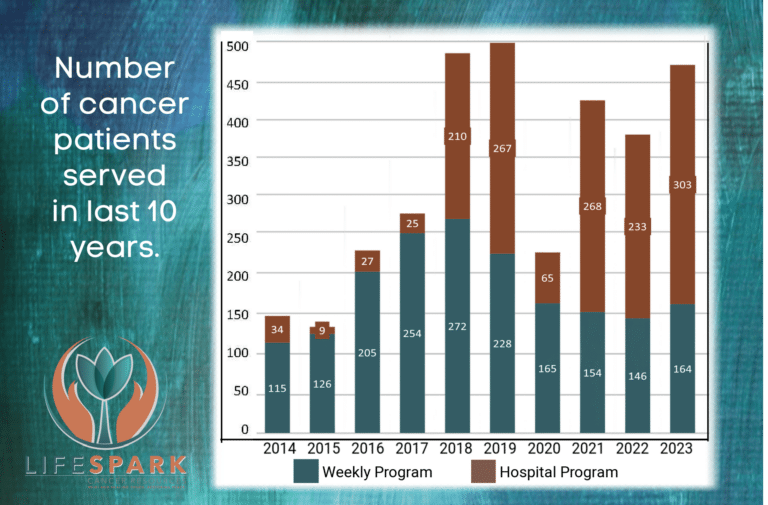 Nearly 500 served in 2023 - Lifespark Production